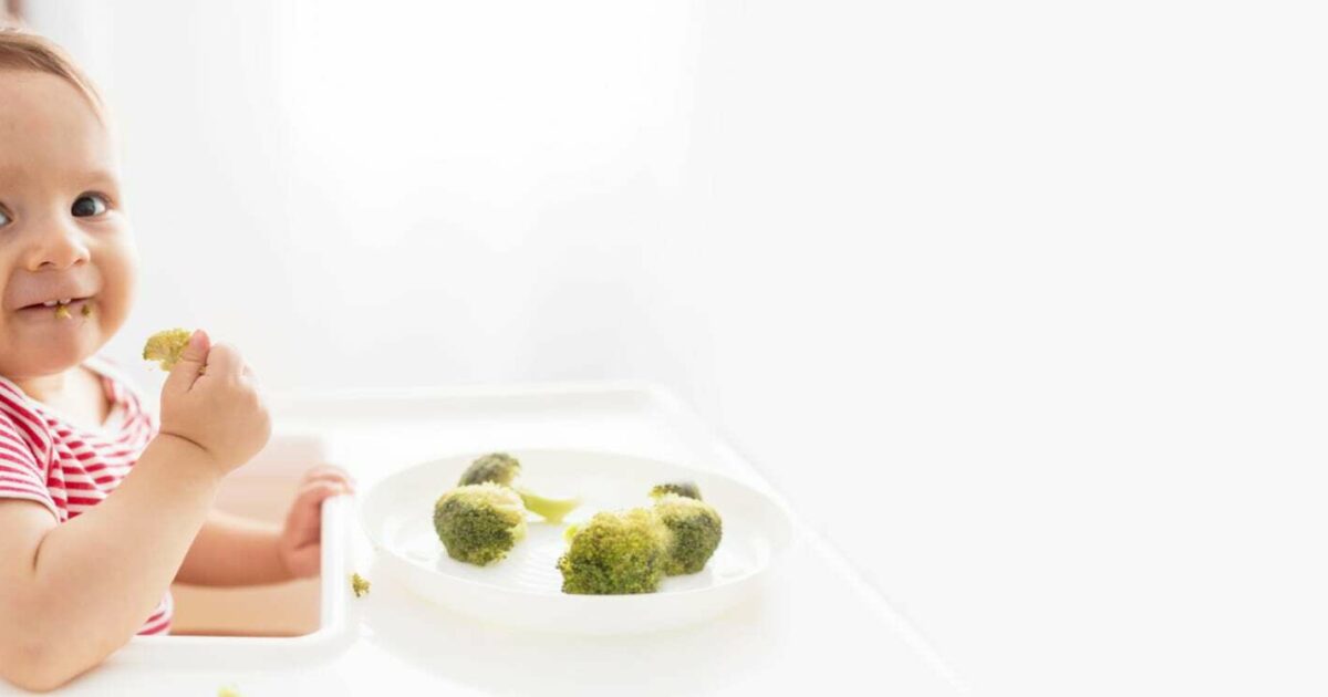 A Solid Start: Complementary Feeding | MD Platform